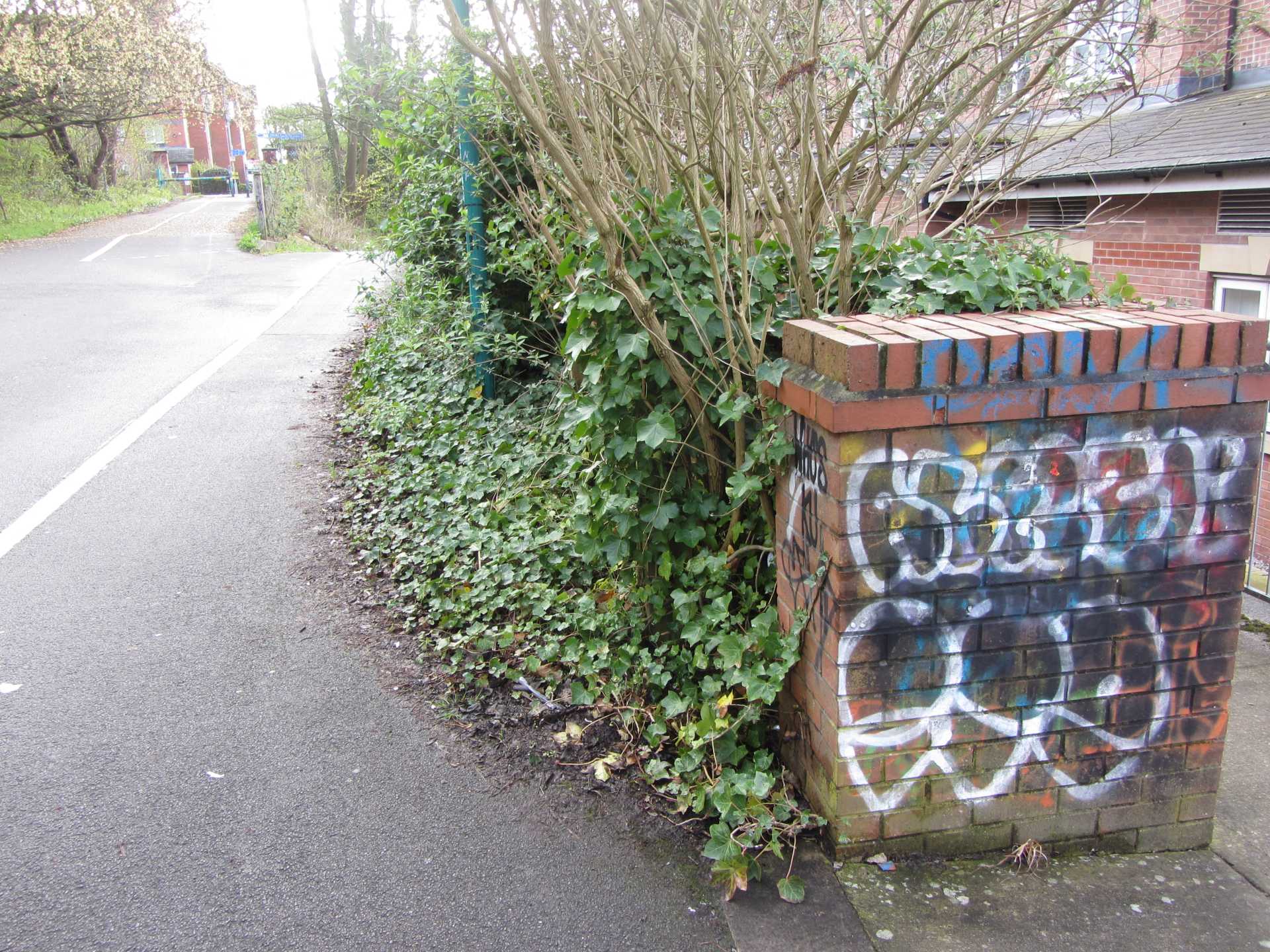 Clearing the path by the Bodey Medical Centre | Friends of the ...
